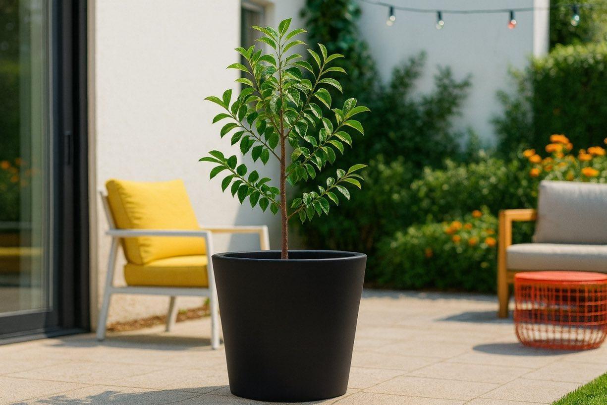Polystone Contemporary Pot - Slate Black - Round Wood of Mayfield