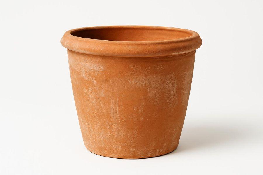 Terracotta Camelia Flower Pot - Round Wood of Mayfield